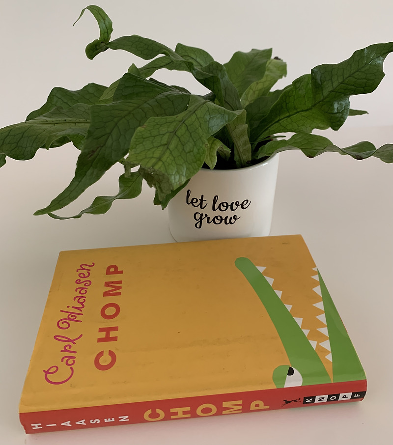 CHOMP by Carl Hiaasen Review