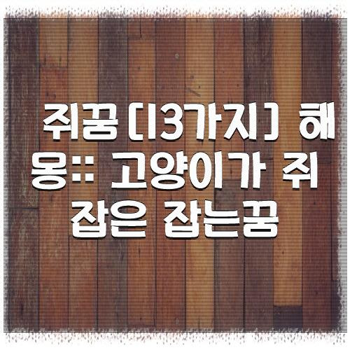 쥐꿈[13가지] 해몽 고양이가 쥐 잡은 잡는꿈