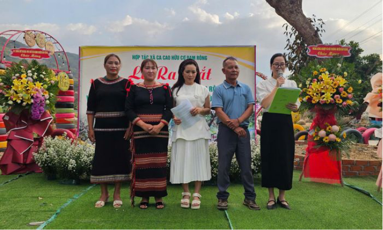 Dam Rong 현 (Lam Dong 성), 유기농 카카오 협동조합 공개