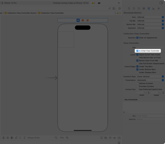[ iOS ] Entry Point (initial view controller)