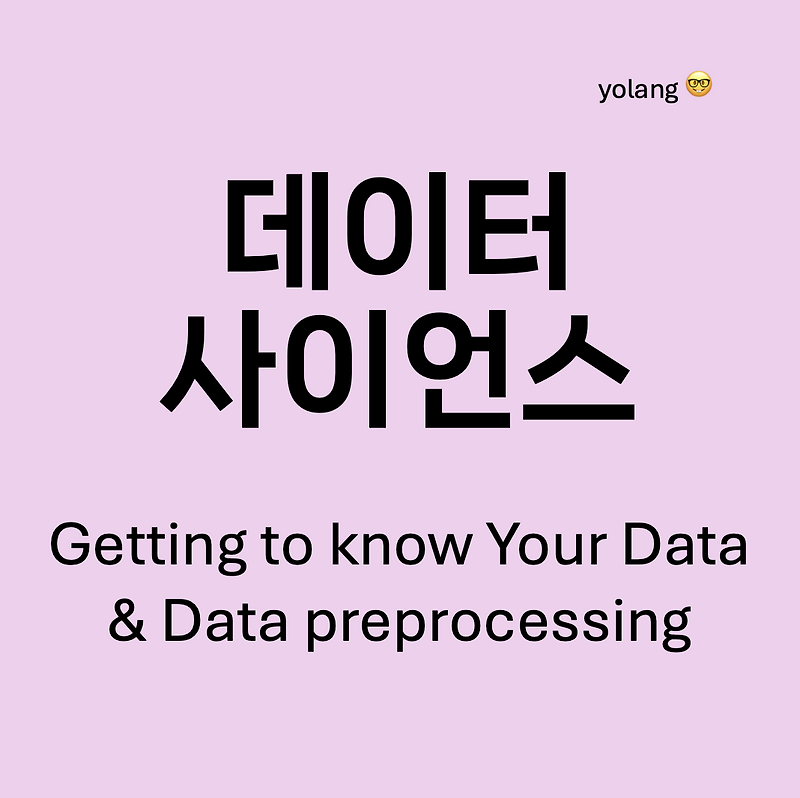 Getting to know Your Data & Data preprocessing — 프로그래밍 기록장