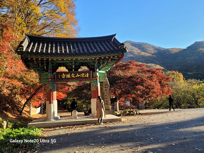 고창 문수사 애기단풍(3)(20241118)