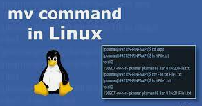 Linux mv 명령어 옵션 사용법과 예시
