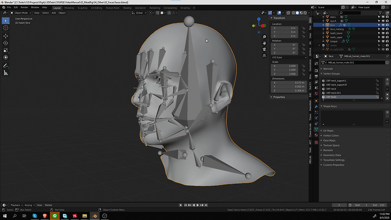 블렌더 강좌 - 리기파이 얼굴 리깅 - Rigify Face Rig - 캐공방TV