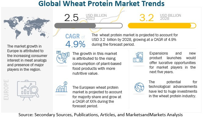 Wheat Protein Market Size, Share, Trends, key Segments, Challenges, and ...