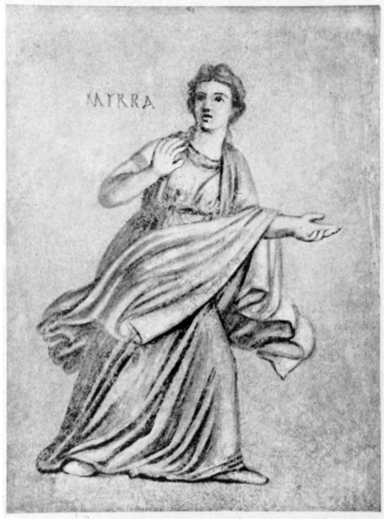 오비디우스 10권. 몰약 나무가 된 미르라(Myrrha).