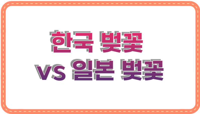 한국 벚꽃 vs 일본 벚꽃, 어떤 차이가 있을까? 5가지 핵심 비교