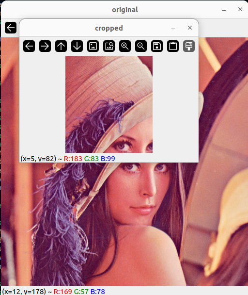 OpenCV를 사용하여 이미지 자르기(python)