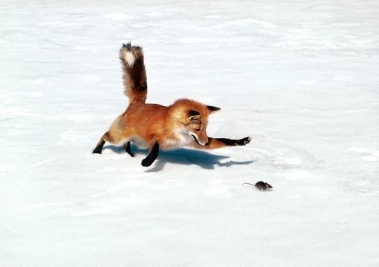 오랜만에 쓰는, Lena tutorials 3!