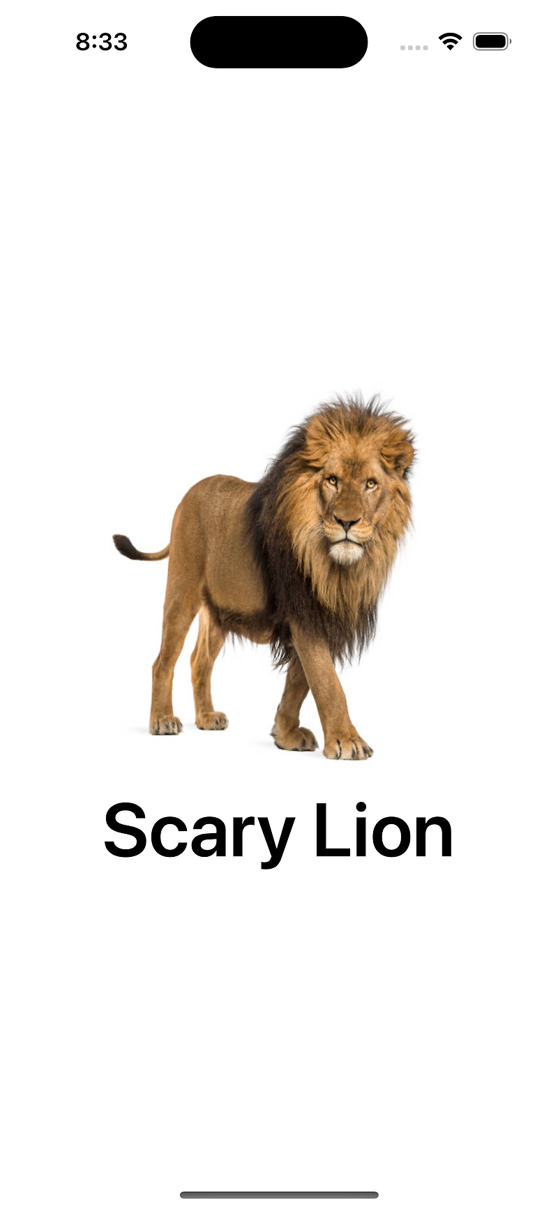 SwiftUI - ScaledMetric :: iOYES