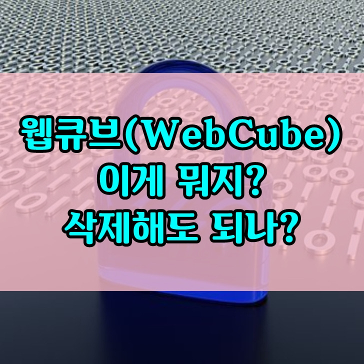 WebCube(웹큐브)가 무슨 프로그램일까? 제거방법 알아보기