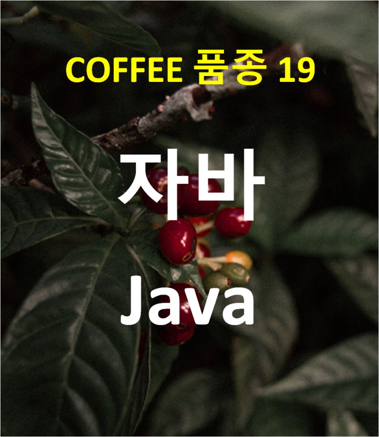 너무 맛있어서 컴퓨터 프로그램의 이름으로 지어진 커피. 자바(Java).