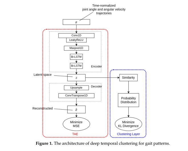 Deep Temporal Clustering of Pathological Gait Patterns in Post-Stroke Patients Using Joint Angle ...