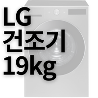 LG 건조기 19kg RG19VNS 3인 가구 추천 이유 - 픽바이리