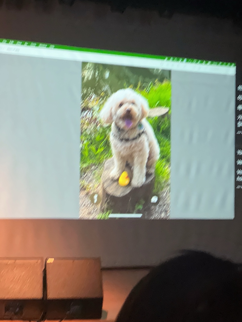 2024-09-09 josh long spring boot 밋업