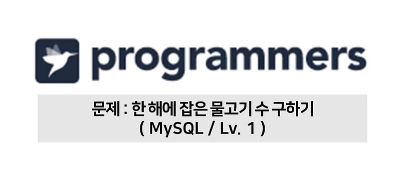 [SQL] 한 해에 잡은 물고기 수 구하기(프로그래머스/MySQL/Level 1)