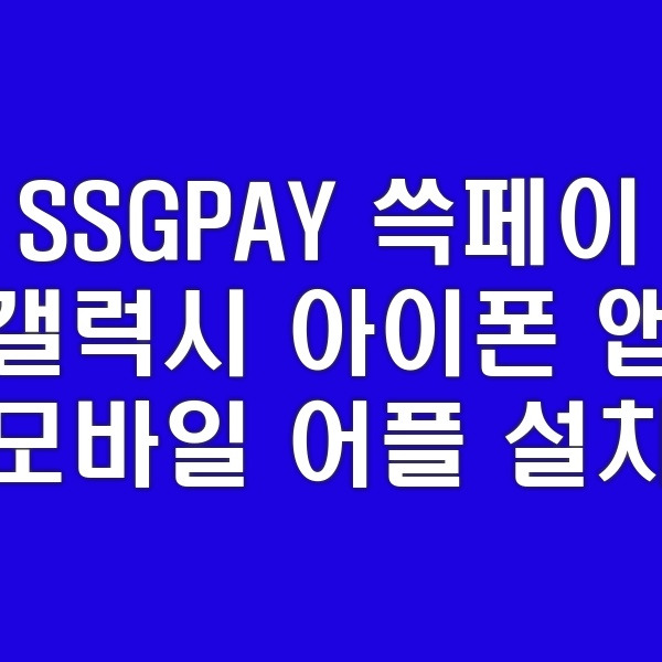 SSGPAY 쓱페이 갤럭시 아이폰 앱 | 모바일 어플 설치 방법 | PC버전 데스크탑 사용법 | APK 깔기