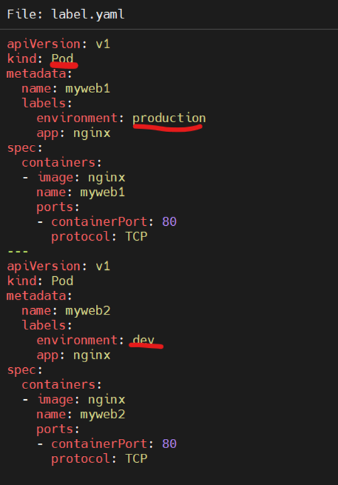 Kubernetes Pod 활용하기 (Pause container, label, volume) - Go, Vantage point