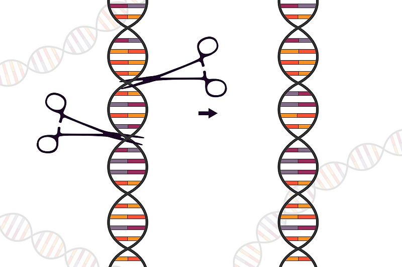 CRISPR 유전자 편집 : 의미, 가능성, 윤리적 문제