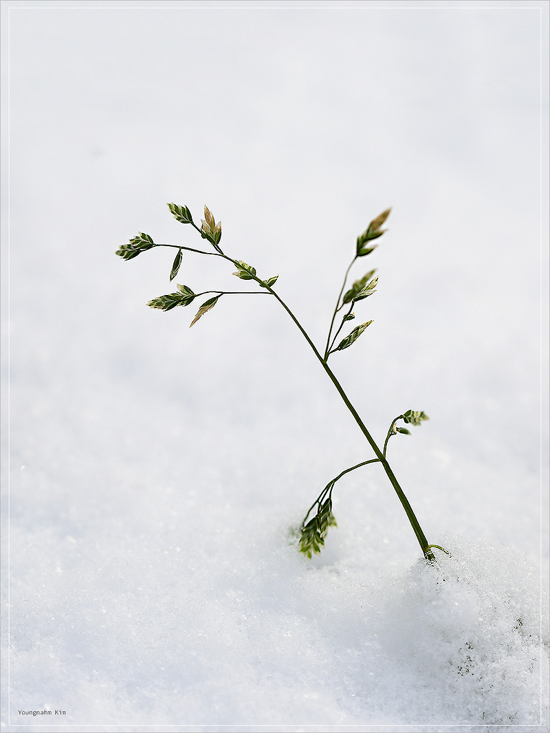 Colors of December 2023