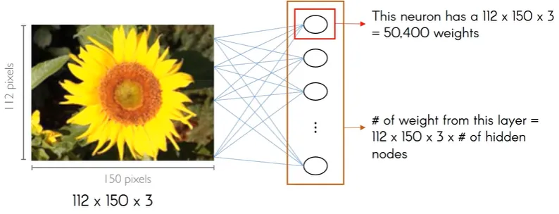 [DSBA] CS231n - 7. Convolutional Neural Networks