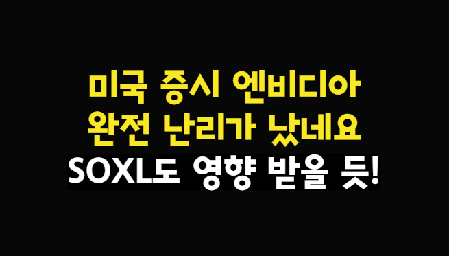 엔비디아 AI 시대의 승자로 떠오르다! 내가 SOXL 투자하는 이유?