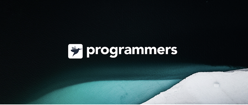 [Javascript | Programmers ] 몫 구하기,나누어 떨어지는 숫자, flag에 따라 다른 값 반환하기,