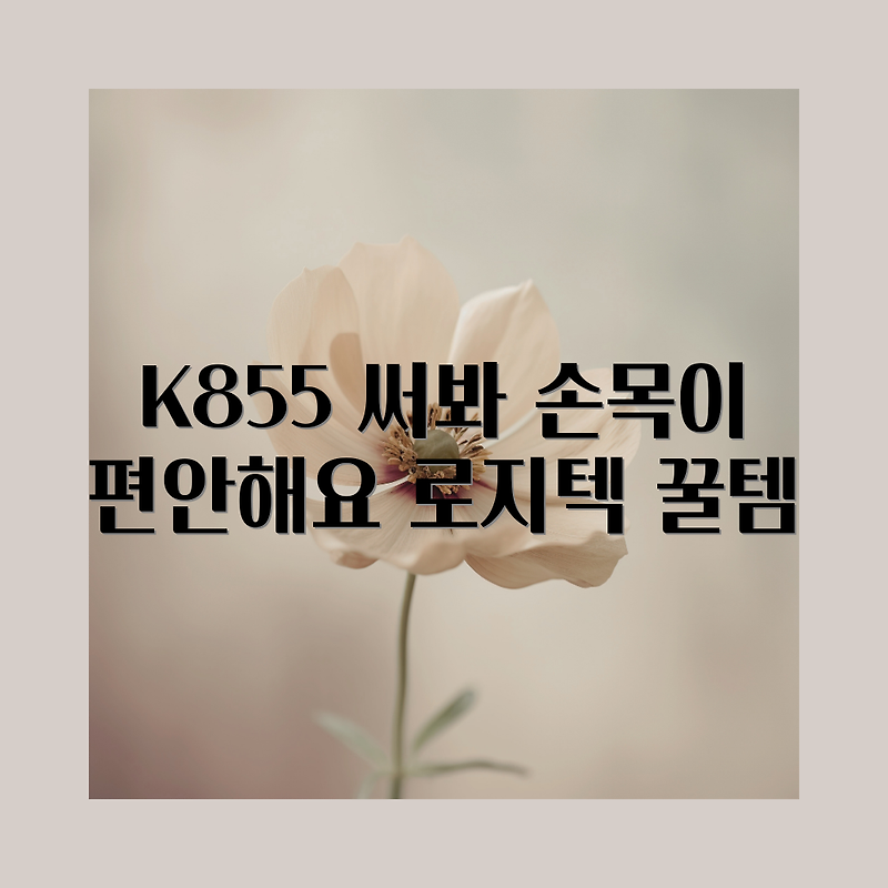 로지텍 K855, 당신의 손목을 구원할 키보드!