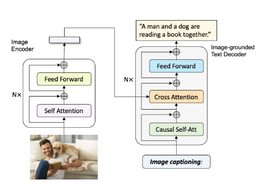 Python에서 BLIP 모델을 사용하여 이미지 캡셔닝 수행하기