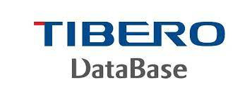 미래를 꿈꾸고 성공을 희망하며 :: tibero, oracle, netezza Database 비교