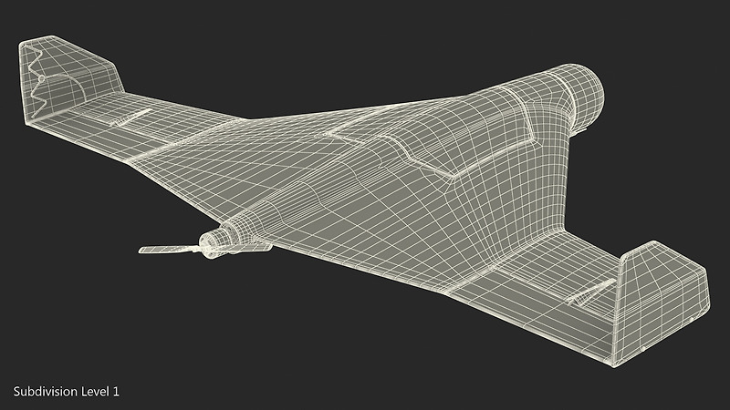 지상-보병-러시아-휴대용무인기 : KUB-BLA