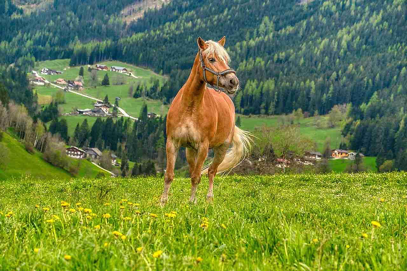 모빌리티 산업과 스마트 도로 - 센서와 네트워크를 활용한 지능형 도로 시스템.