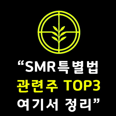 SMR특별법 수혜기업 관련주 TOP3 여기서 총정리 - 카카오의사랑