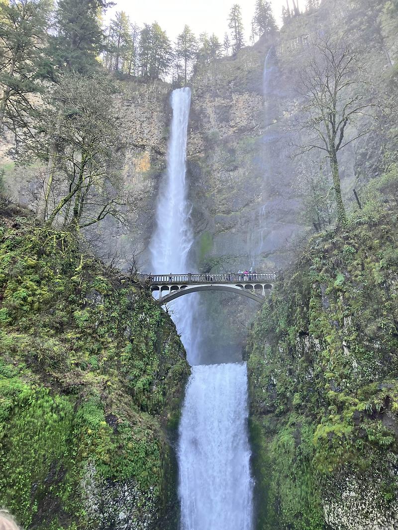 멀트노마 폭포(Multnomah Falls)