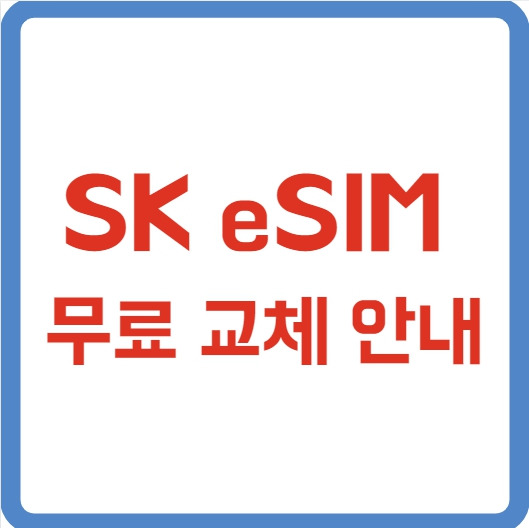SK eSIM 무료 교체 안내[+변경방법 유의사항 총정리]