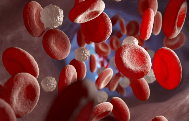 백혈구 정상수치 및 낮으면, 높으면 대처법 WBC 수치