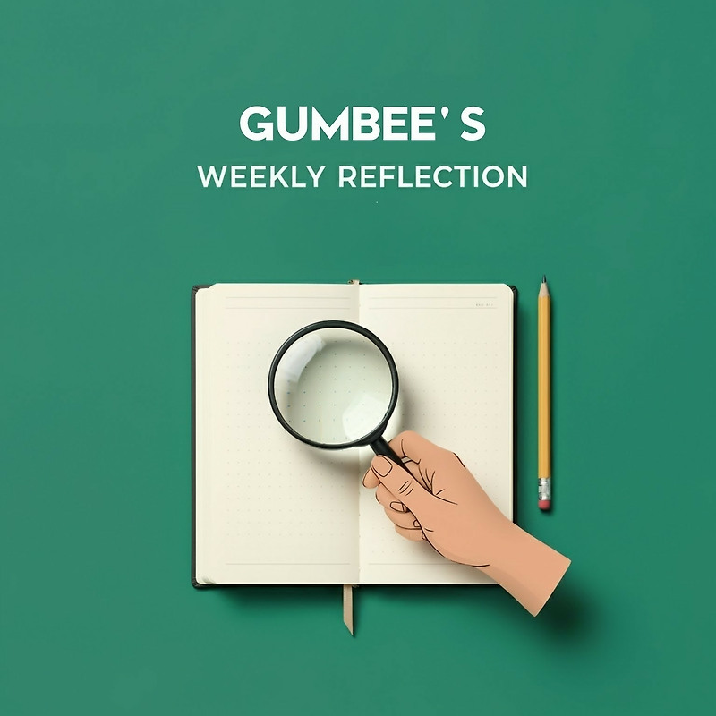 주간 검비 : 24.08-W1 :: GAN : GumBee's AI Notebook