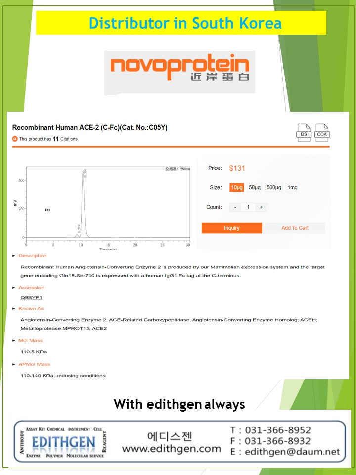 (Novoprotein 한국공식대리점_ 에디스젠) Recombinant Human TGF-beta 1 (cat. No.:CA59 ...