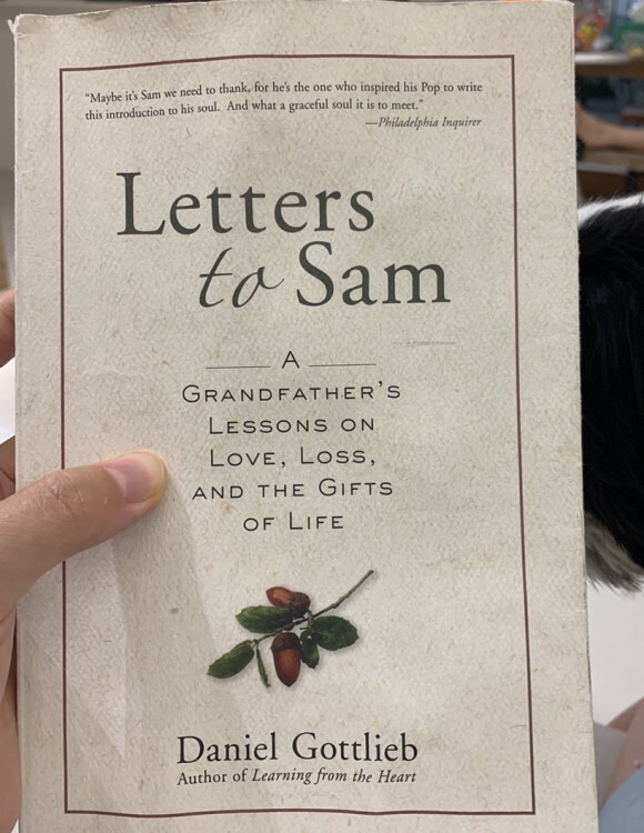 책 추천 Letters to Sam