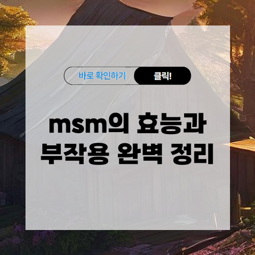 msm의 효능과 부작용 알아보기