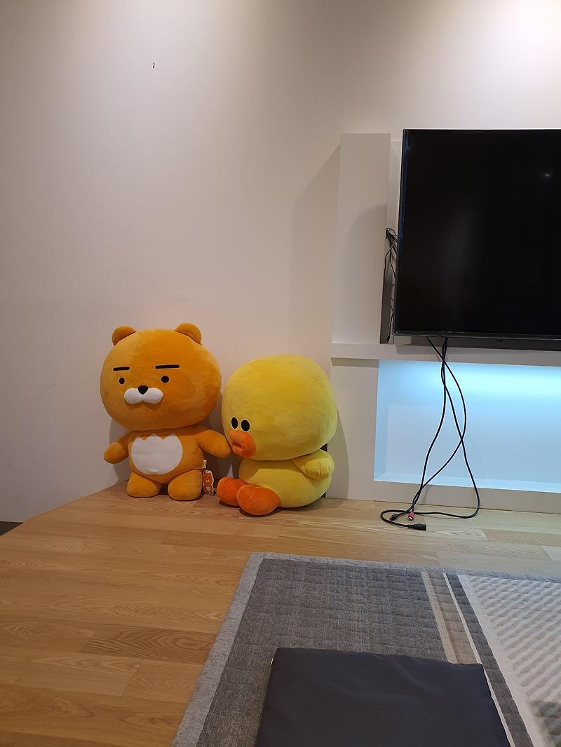 KTV PD리포트 이슈본 출연