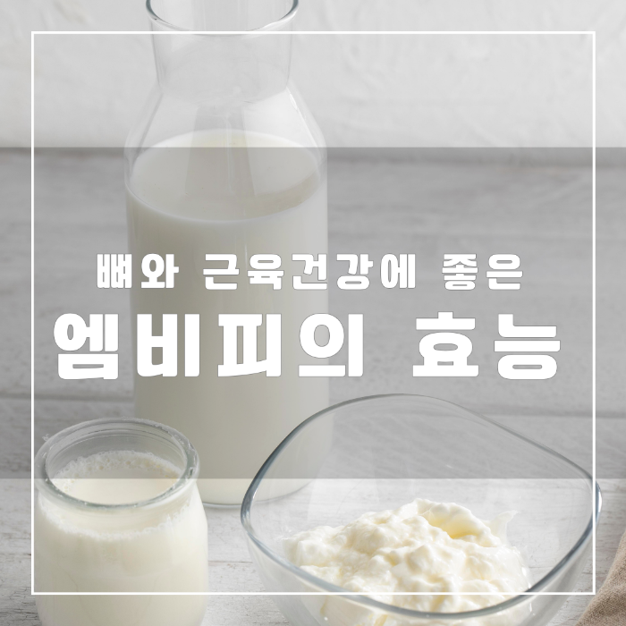 뼈 건강을 위한 엠비피(MBP:Milk Basic Protein)에 대해 알아보자