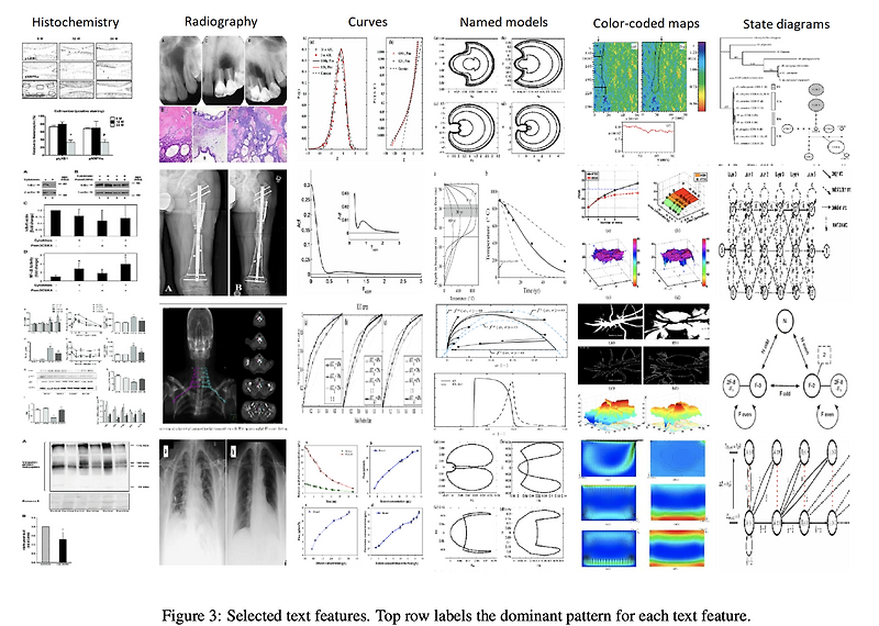 Look, Read and EnrichLearning from Scientific Figures and their Captions