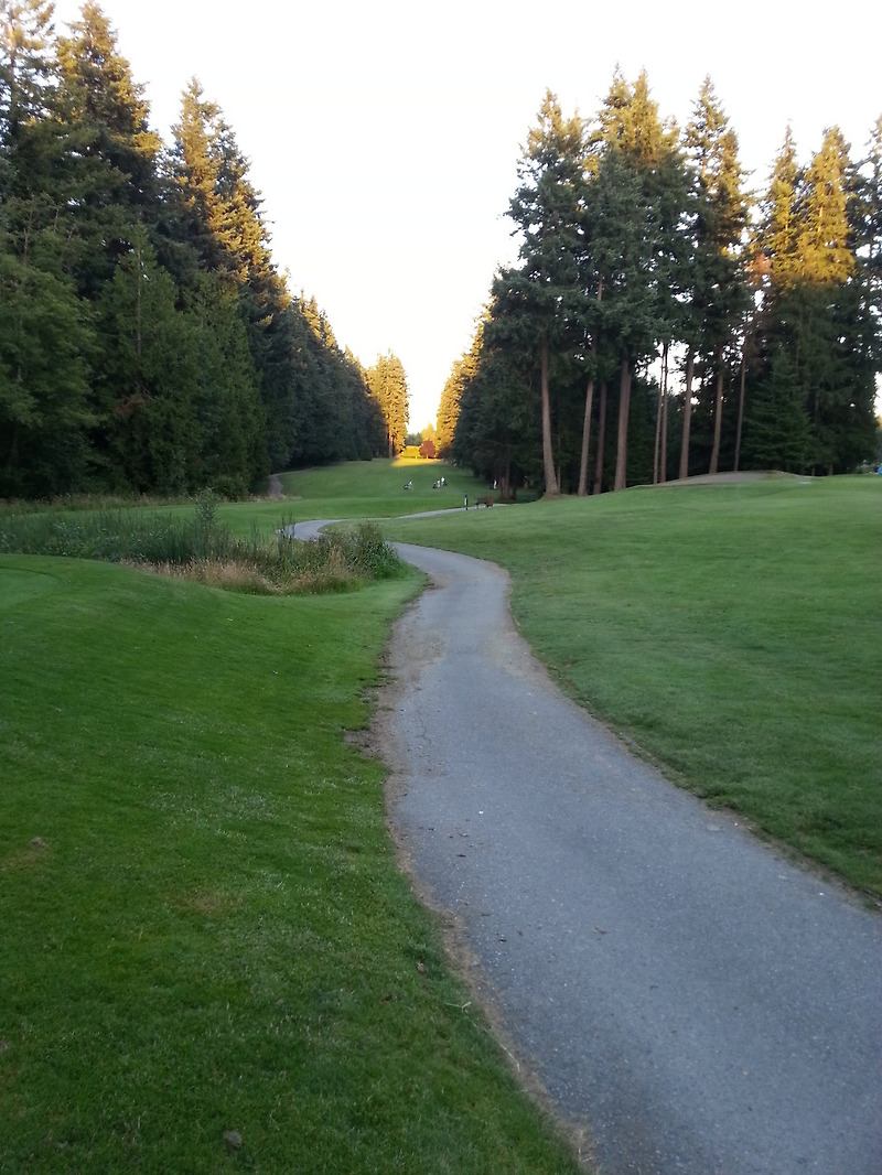 UBC Golf Club ( 2013 )