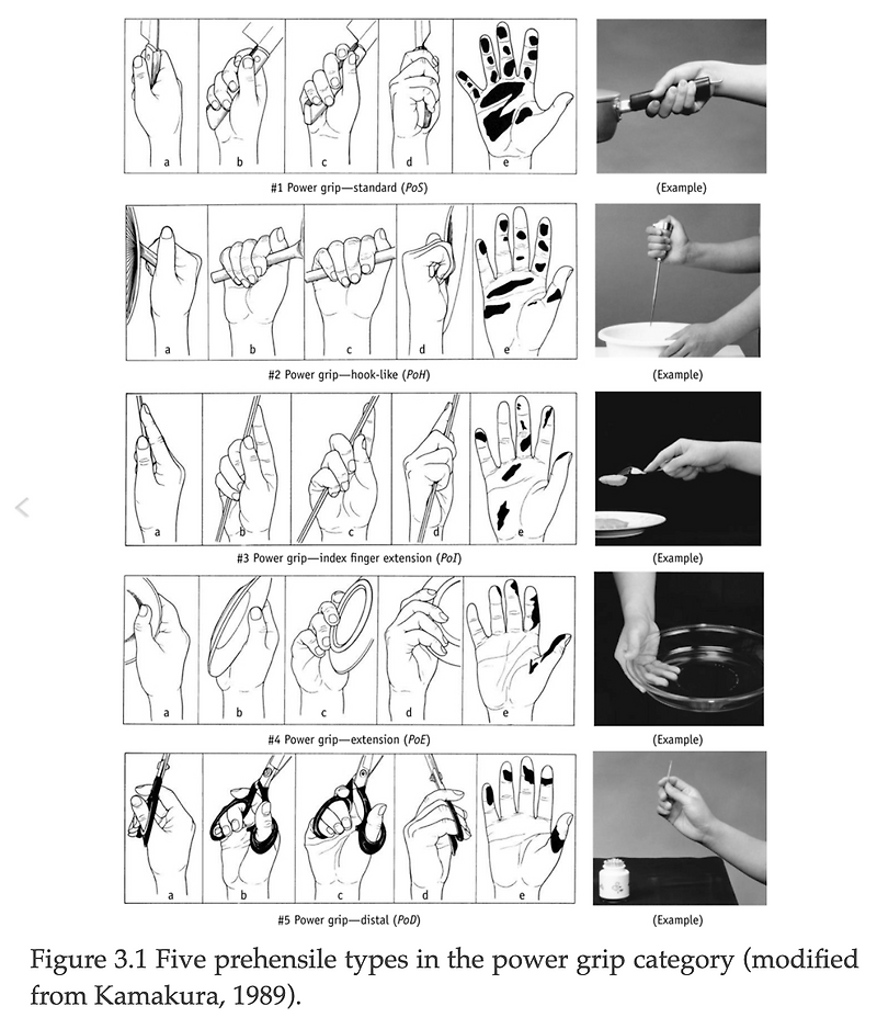 What is prehension? - Noriko Kamakura