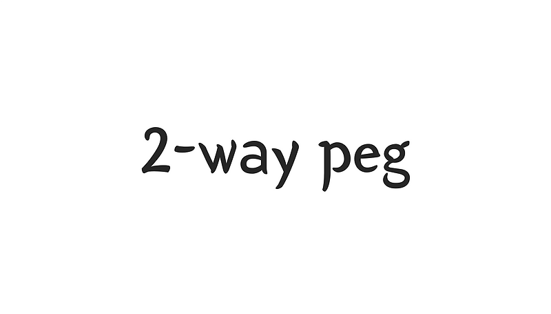 2-way Peg concept