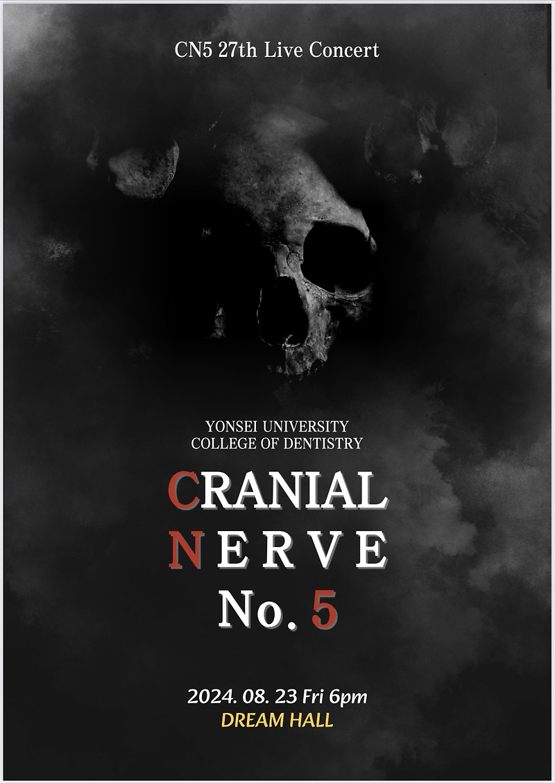 2024 CN5 공연