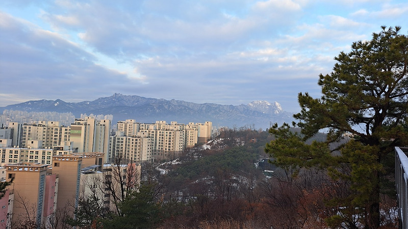 2024년 1월 매일 한 일