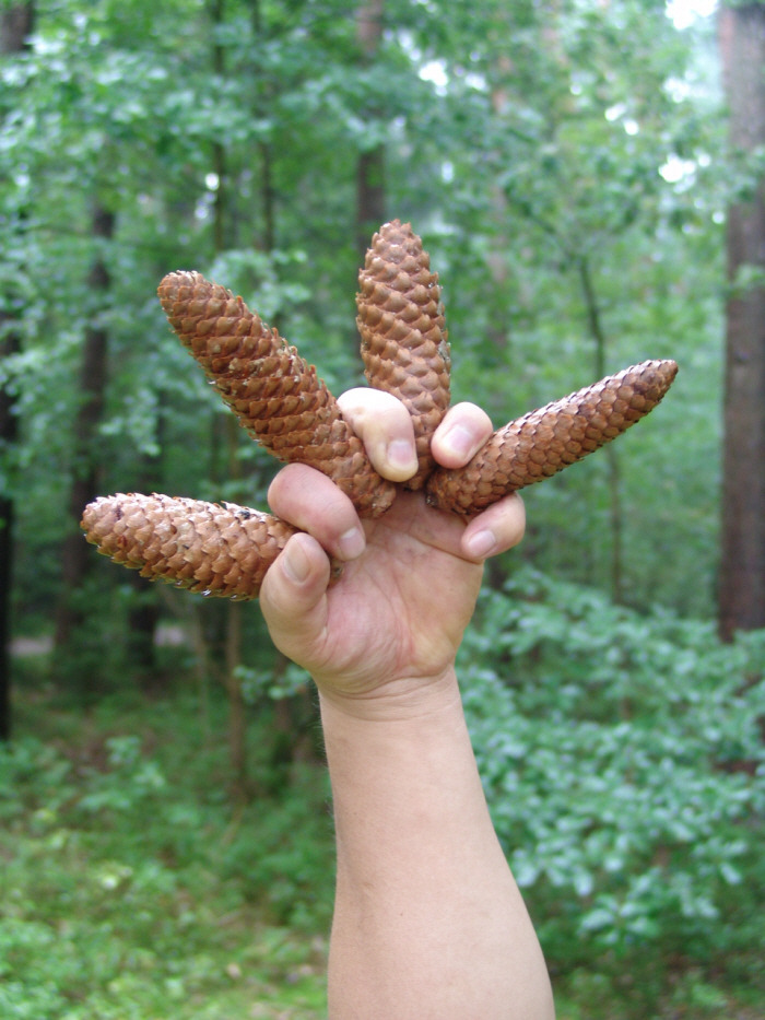 2010 Ri, Eung-woo, Hand and seed