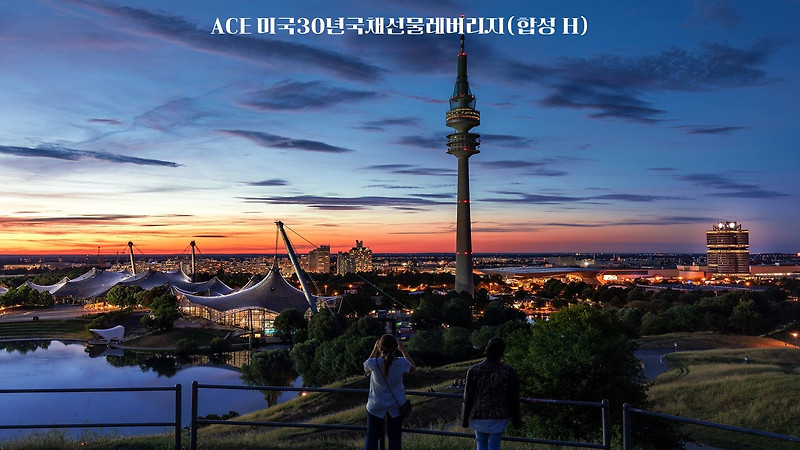 ACE 미국30년국채선물레버리지(합성 H)/452250